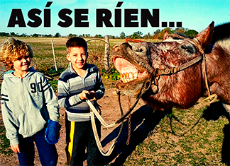 Animales de granja: El caballo (se me ríe en la cara) - Leonlandia